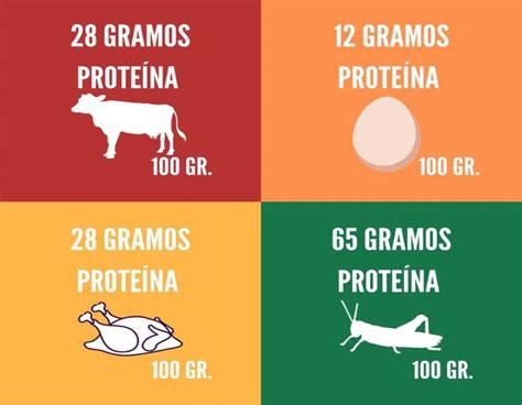 ¡canto De Proteína Exatec Innova Con Alimentos De Harina De Grillo
