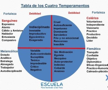 Para Controlar Ese Carácter Del Demonio Tipos De Temperamento