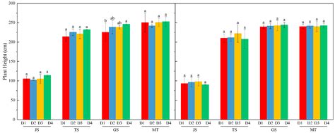 Effect Of Maize Canopy Structure On Light Interception And Radiation Use Efficiency At Different