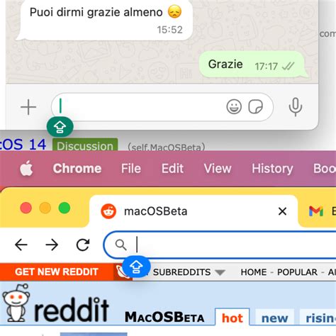 having capslock enabled shows a floating indicator r macosbeta