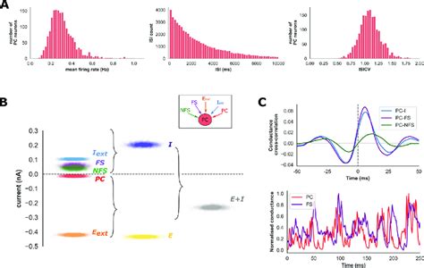 Network Spike Characteristics And Excitation Inhibition Balance A Download Scientific Diagram