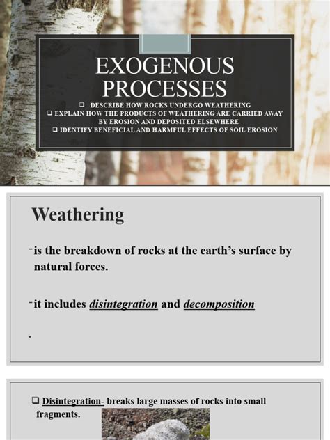 Exogenous Processes Pdf Weathering Erosion