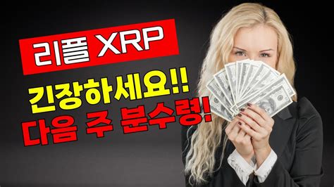 리플xrp 운명의 일주일 바싹 긴장하세요 Youtube