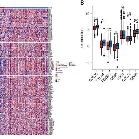 Correlation Between Fam Subtypes And Expression Of Immune Checkpoint Download Scientific