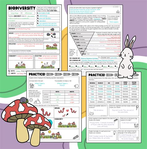 Grouping Organisms And Taxonomy Notes And Practice Made By Teachers