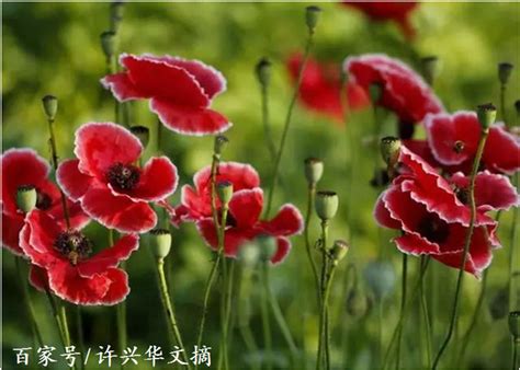 对数与对数函数的学习指导 知乎