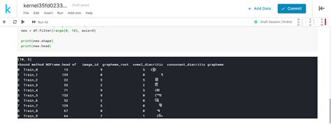 Multi Category Classification Labels Do Not Appear In Datashowbatch