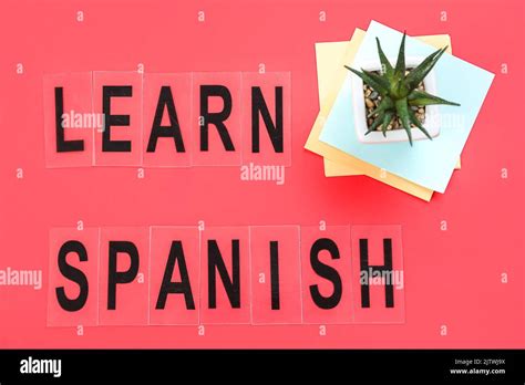 Text Learn Spanish With Flowerpot And Sticky Notes On Red Background