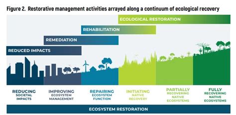 Standards Of Practice To Guide Ecosystem Restoration A Contribution To The United Nations