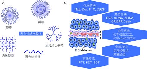 Polymeric Nanomedicines For The Treatment Of Glioblastoma Gbm A Download Scientific Diagram