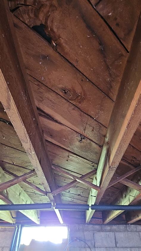 Basement Insulation R Insulation