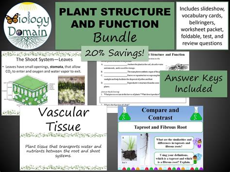 Plant Structure And Function Bundle Teaching Resources