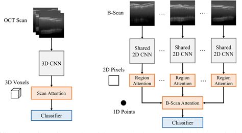 Figure 1 From Deep Ga Net For Accurate And Explainable Detection Of Geographic Atrophy On Oct
