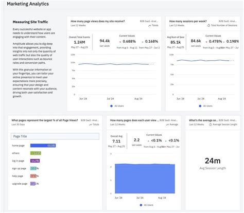 How To Build The Perfect Analytics Dashboard 7 Examples Amplitude