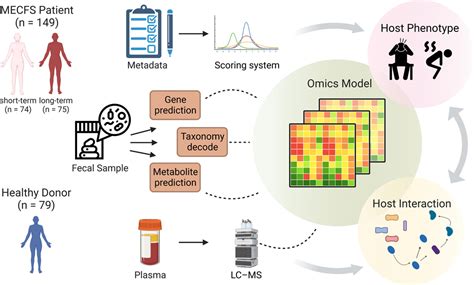 Multi ‘omics Of Gut Microbiome Host Interactions In Short And Long Term Myalgic