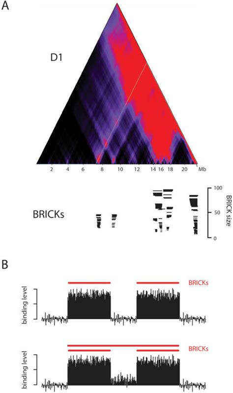R Wavelet Smoothing At Different Scales Cross Validated