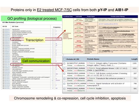 Ppt Functional Interpretation Of Large Scale Omics Data Through Pathway And Network Analysis