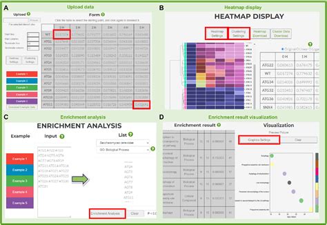 figure 3 from hemi 2 0 an online service for heatmap illustration