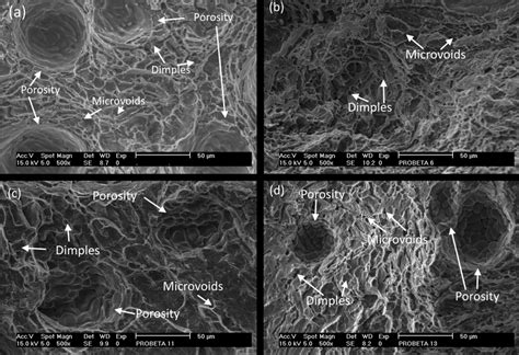 Micrographs In The Fracture Zone Of Selected Samples Of Weld Joints Download Scientific Diagram