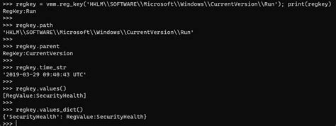 API Python Registry Ufrisk MemProcFS Wiki GitHub
