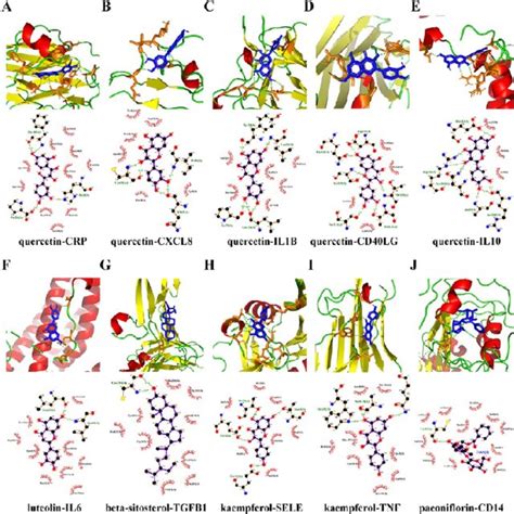 A−j 3d And 2d Maps Of Active Compound Binding To Target Proteins The