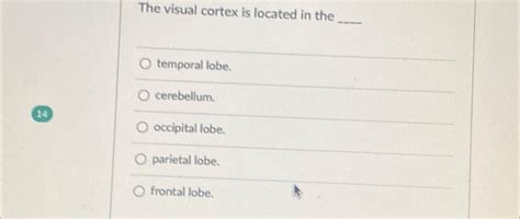 Solved The Visual Cortex Is Located In Thetemporal Chegg Com