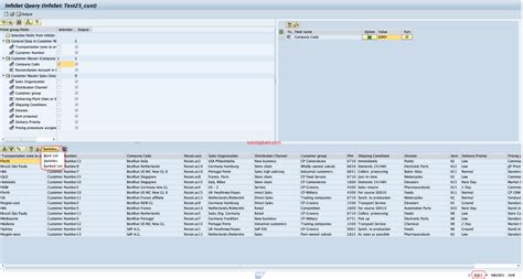 mastering sap query create and manage with sq01 tool