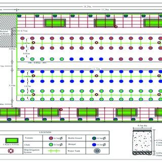 Design Layout Of The Experimental Plot Download Scientific Diagram