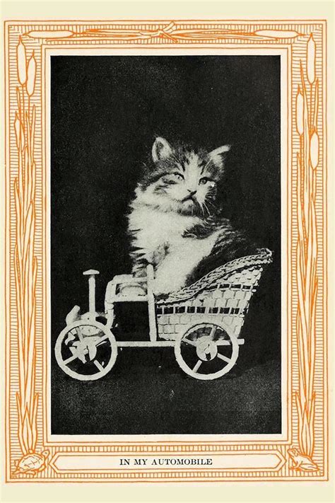Meet Queen Cat Secret Cat And Dunce Cat From Kittens And Cats A First Reader 1911 Flashbak