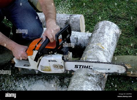 Cutting Tree Trunk Stock Photo Alamy