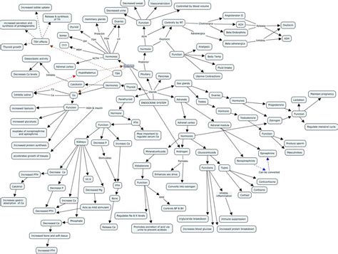 Endocrine System Concept Map Endocrine System Concept Vrogue Co