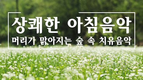 머리가 맑아지는 숲 속 치유음악 🎵 아침명상 음악 스트레스해소 음악 명상음악 힐링음악 스트레스 해소 음악 긴장이완음악 Vol25 Youtube