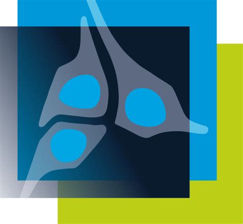 Plugin Or Class Not Found Error On Fiji Sigma Filter Plus Usage