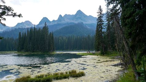 10 Fernie Travel Mistakes Visitors Make And How To Avoid Them