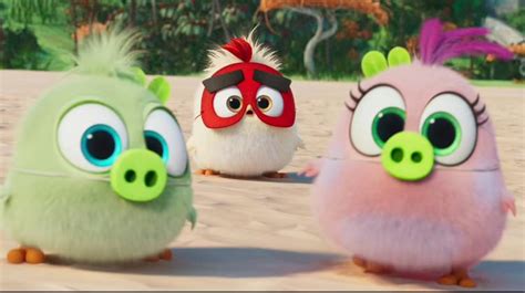 可爱的小鸟们带着没有孵化的蛋出来玩，但发生了不可思议的事情 英语趣配音