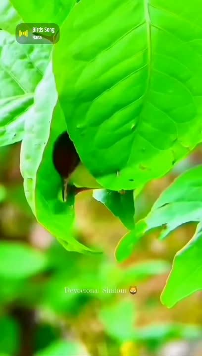 Karthik Subramani Posted On Linkedin