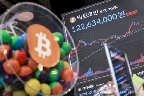 비트코인 11일만에 다시 8만달러 붕괴트럼프 말빨 안 먹힌다 머니투데이