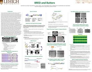 Bred And Butters Mountaintop Biology Poster X Ppt