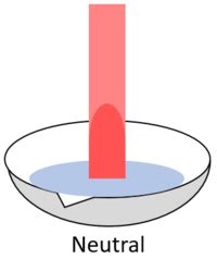 Litmus Paper Key Stage Wiki