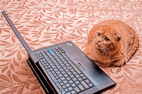 My Nostalgic Thinkpad T420 R Thinkpad