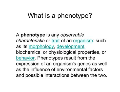 What Is A Phenotype