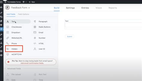 Adding Hidden Fields To Formidable Forms Attributer