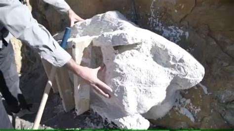 Colorado Dinosaur Footprints Relocated From Golf Course To Museum Where