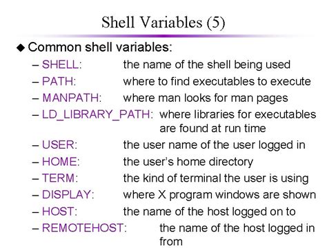 Shell Environments The Shell Environment U Shell Environment
