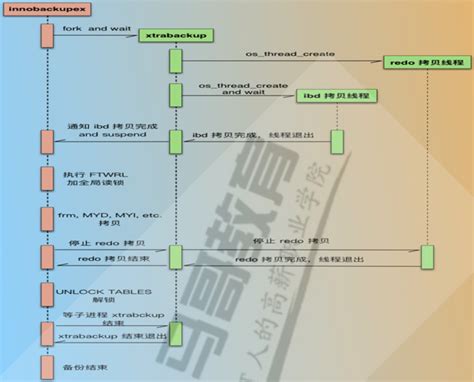 第二十三天mysql数据备份及还原 djyhello 博客园