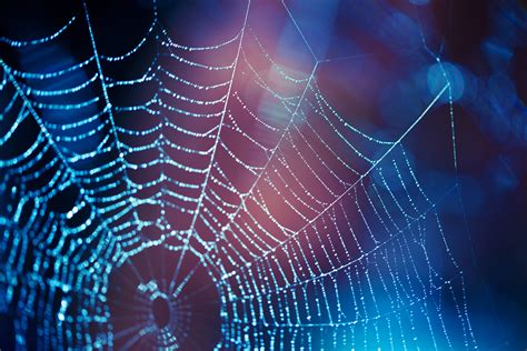 Web Vulnerabilities Packt Secpro
