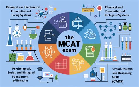 Breaking Down The Mcat Sections Your Complete Guide To The Exam