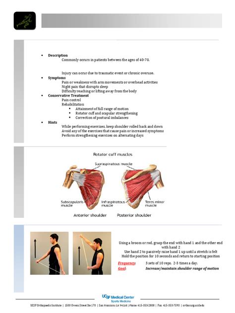 Rotator Cuff Injuries Protocol Pdf Anatomical Terms Of Motion Shoulder