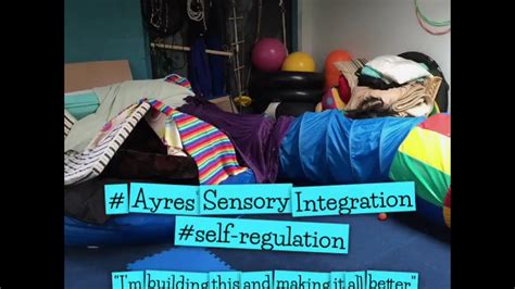 Self Regulation Youtube
