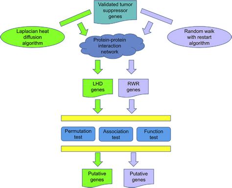 The Procedures Of The Lhd Based And Rwr Based Methods The Lhd Based
